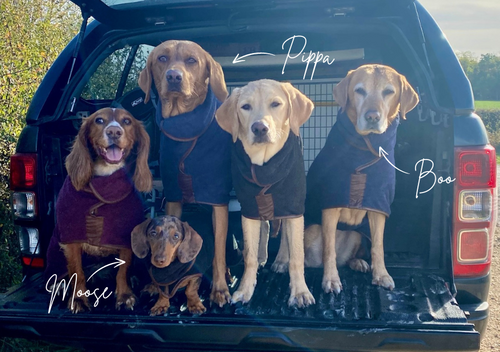 The Office Dogs Part 4: Olivia's Boo, Pippa & Moose - Ruff and Tumble