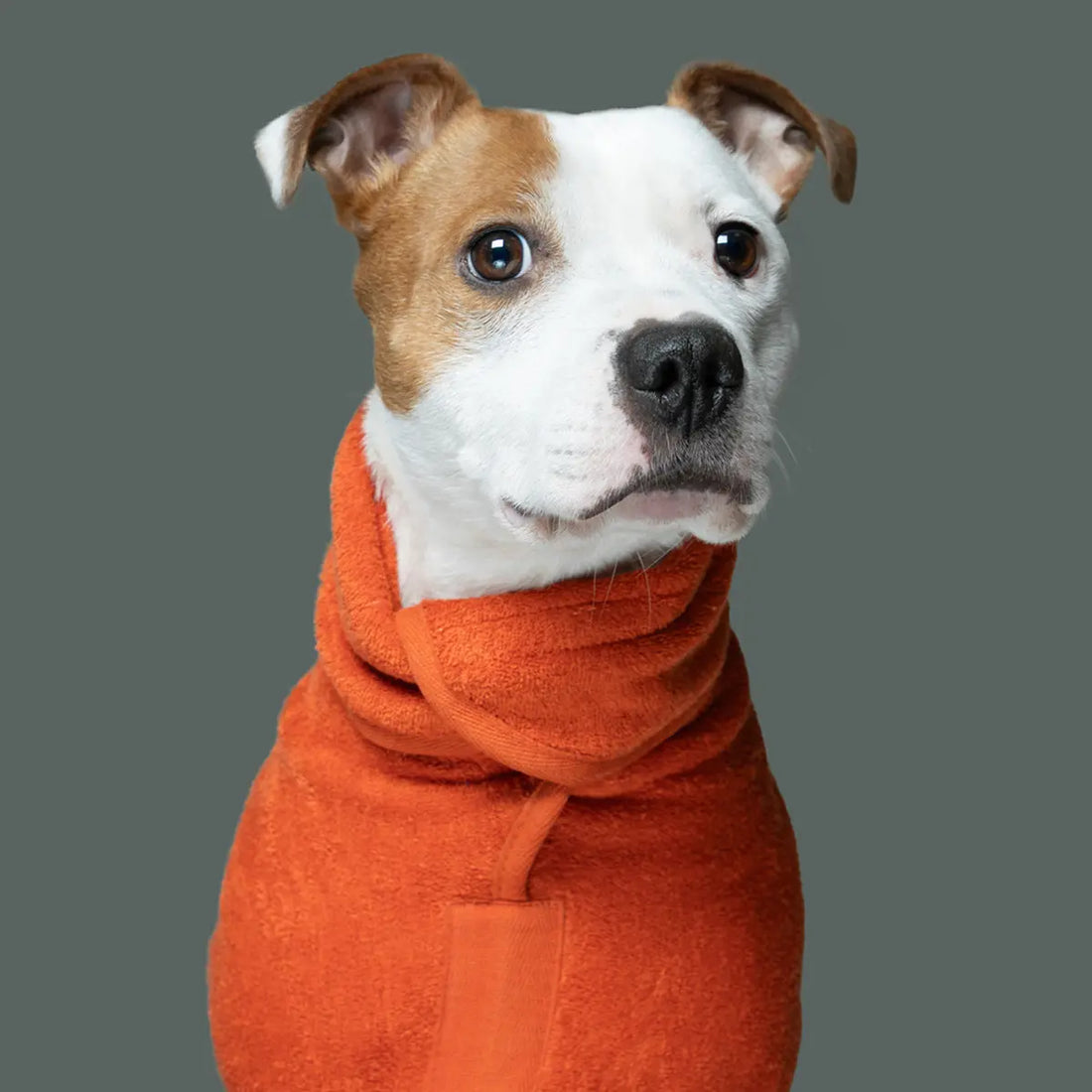 Dog Drying Coats, Dog Bed Covers Plus More By Ruff & Tumble