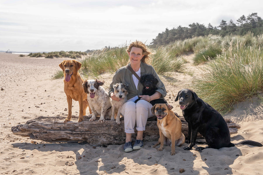 The Office Dogs Part 3: Owner Alison's Lulu & Mac