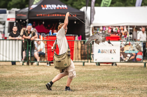 10 Brilliant Things to do at The Game Fair!
