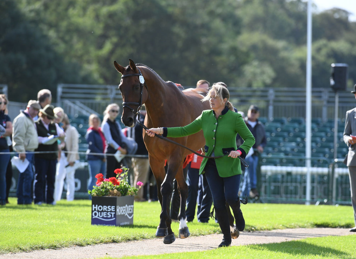 Burghley Horse Trials - 10 ways to enjoy yourself!