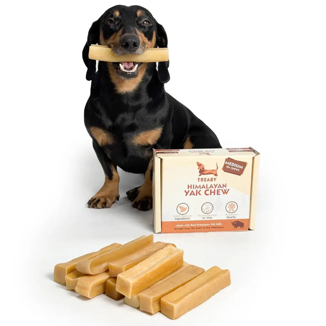 Yak Chew - Ruff and Tumble